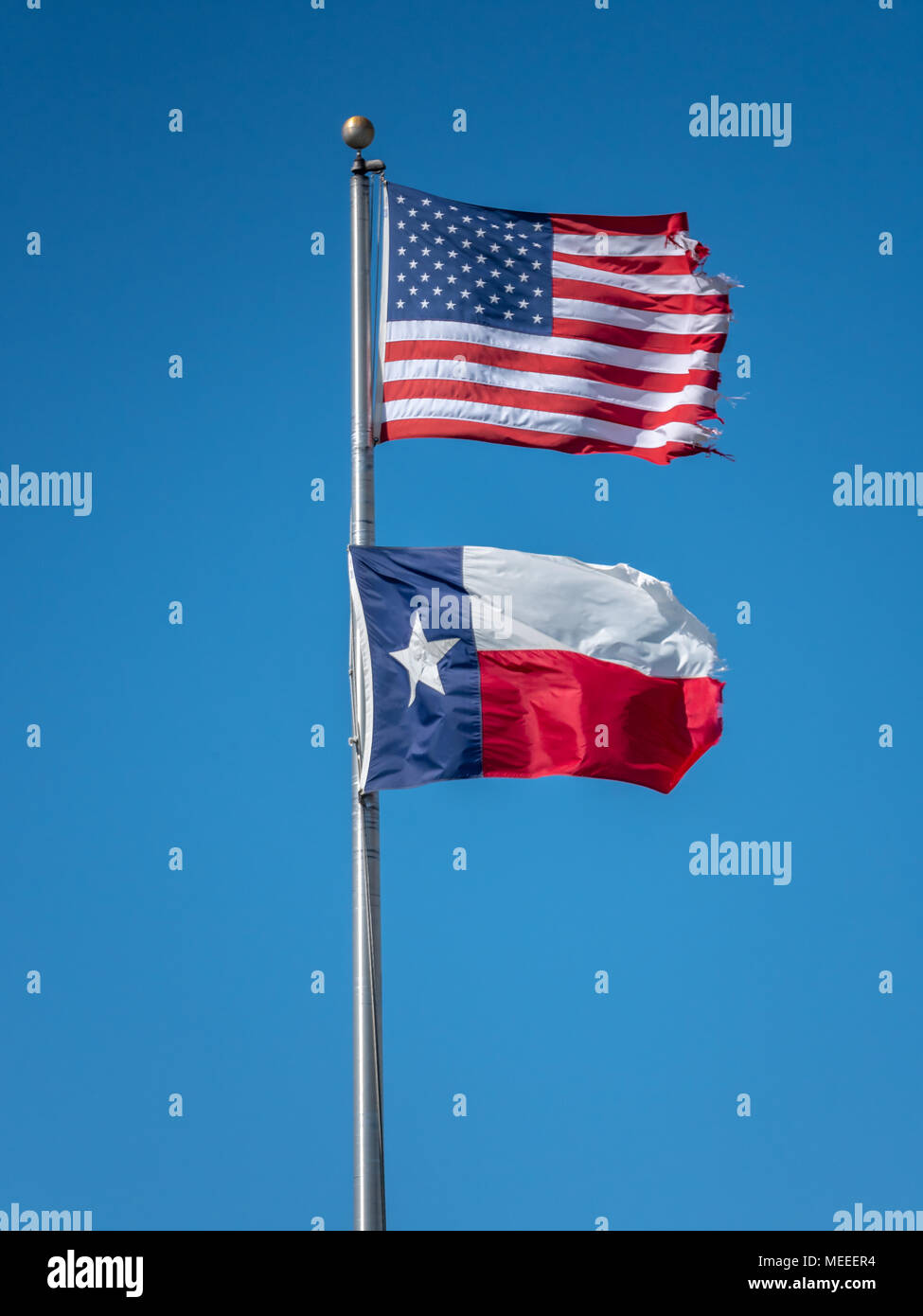 Portrait View of the Texas Flag Under the USA Flag Stock Photo - Alamy
