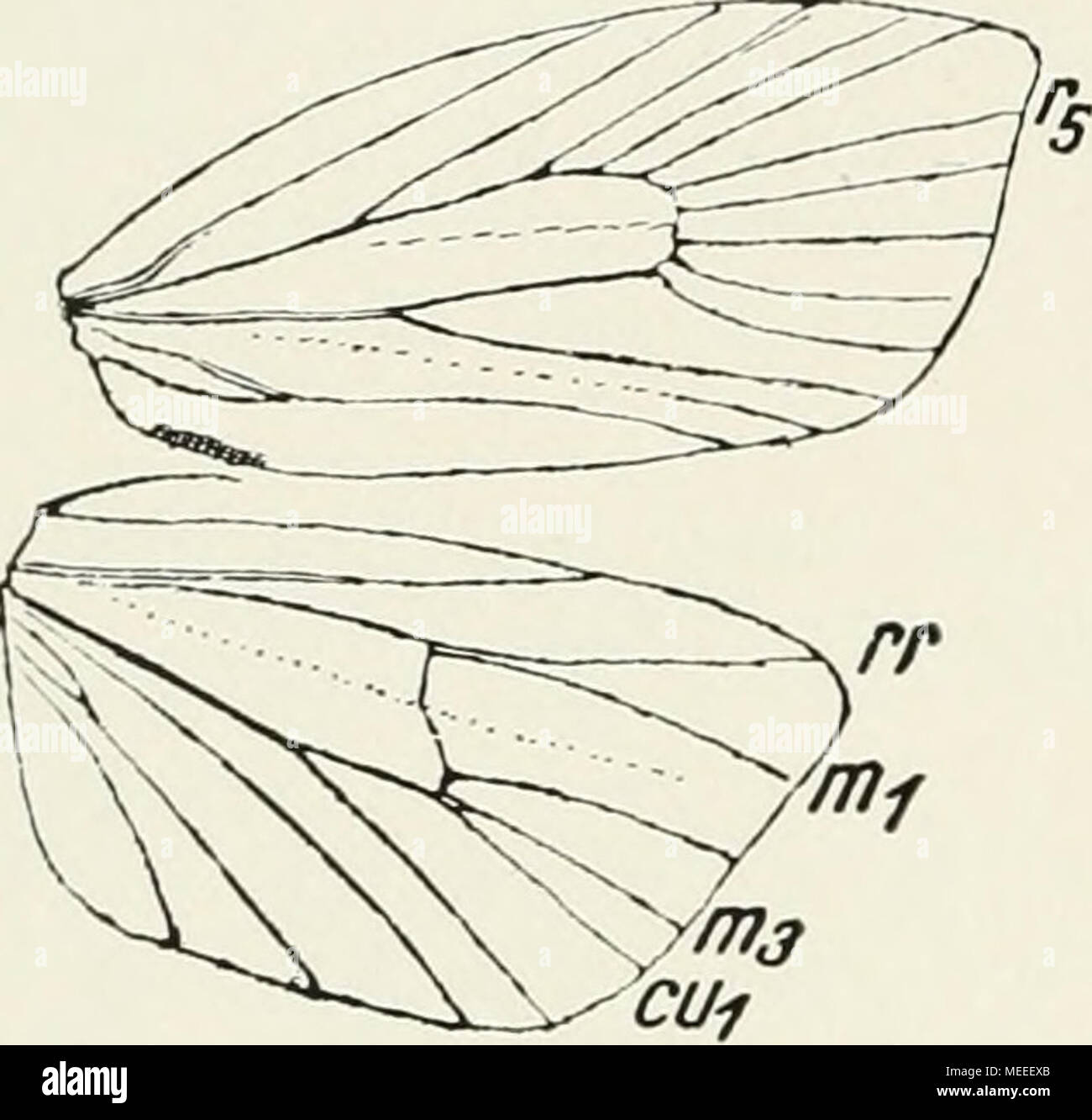 Frassen High Resolution Stock Photography and Images - Alamy