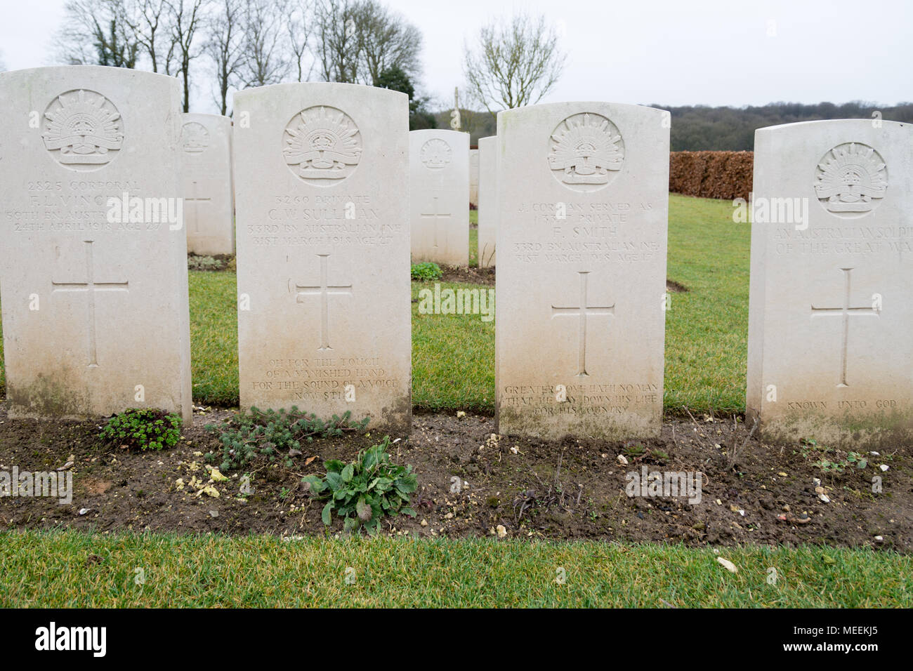 Australian graves on the Western front Stock Photo - Alamy