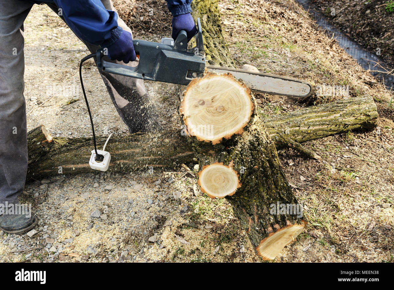 Cutting a log hi-res stock photography and images - Alamy