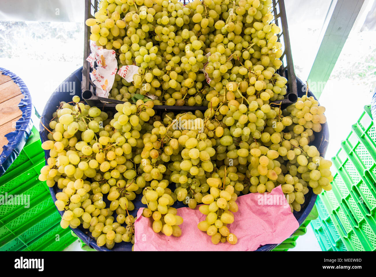 Grapes at the supermarket / greengrocer Stock Photo - Alamy