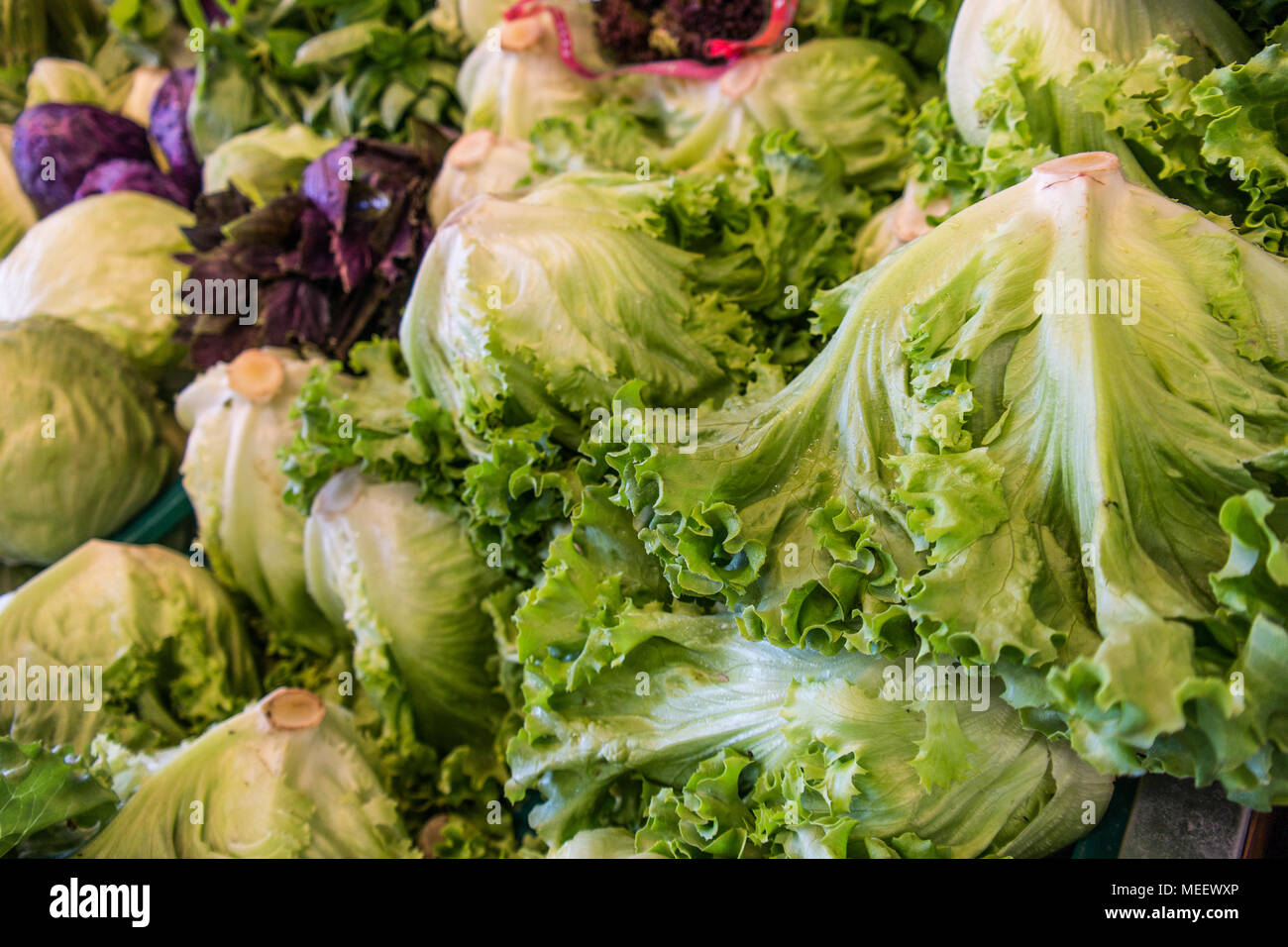 Green vegetables lettuce at greengrocer / supermarket Stock Photo - Alamy
