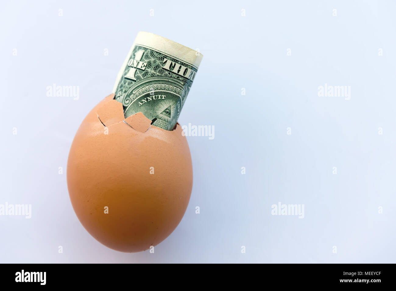 one dollar in an egg shell on white background closeup Stock Photo - Alamy