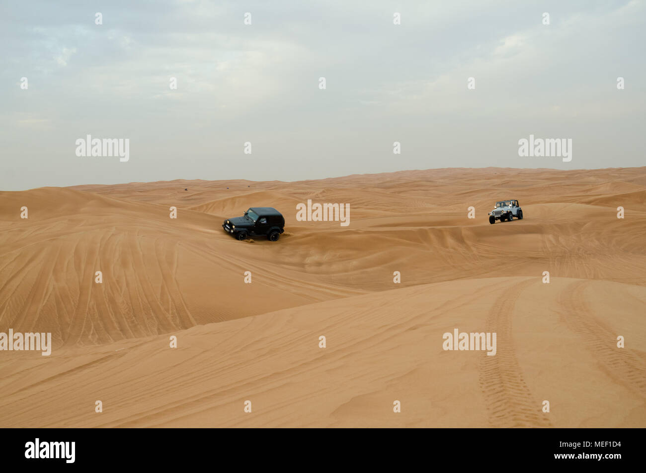 Desert safari of Dubai is famous attraction for the tourist. It is fun ...