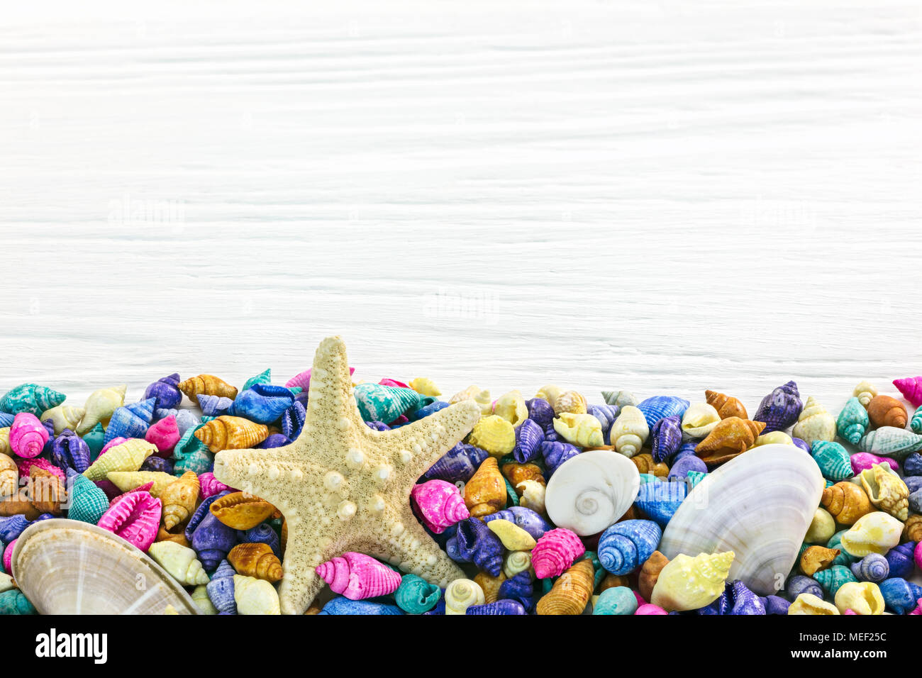 Seashell border sea shell hi-res stock photography and images - Alamy