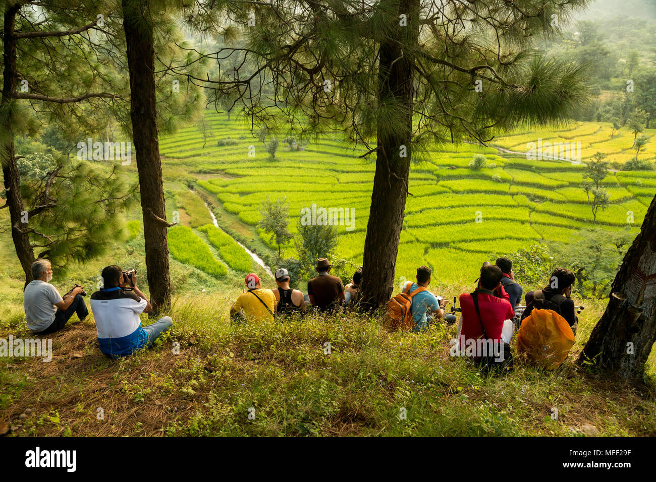 How to learn photography hi-res stock photography and images - Alamy
