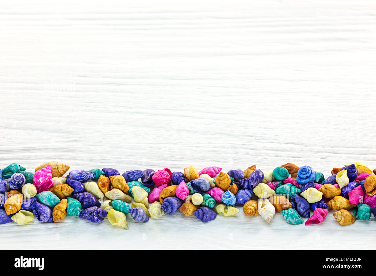 multicolor seashells on white wooden background for ocean theme concept ...