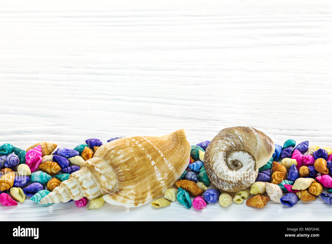 seashell border design on white rustic wooden background Stock Photo ...