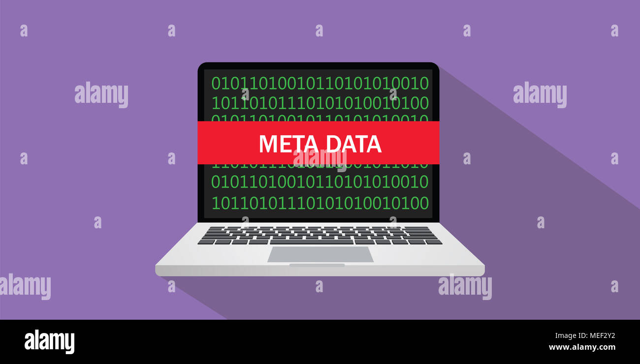 meta data concept sign illustration with laptop and text on the screen ...