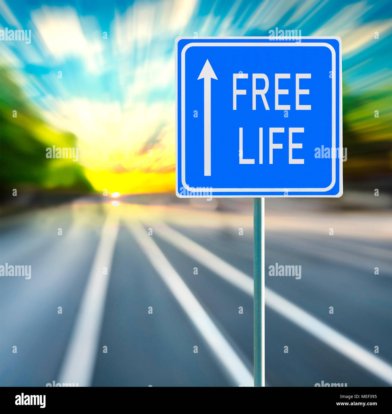 Free life motivational phrase on blue road sign with arrow and blurred ...