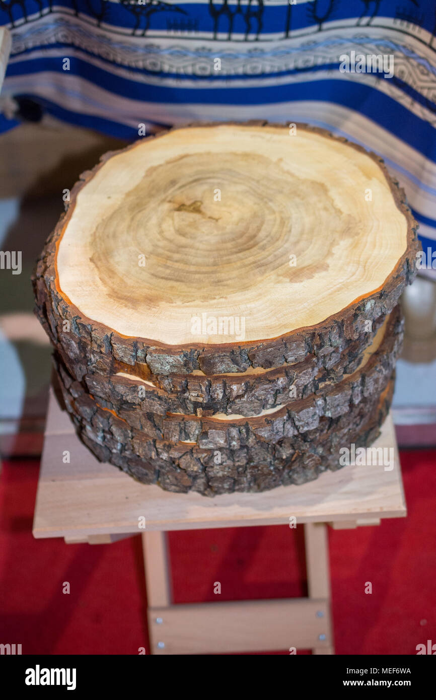 Wood Log cut in round thin pieces in view Stock Photo - Alamy