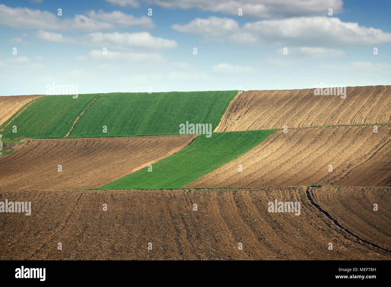 Striped landscapes hi-res stock photography and images - Alamy