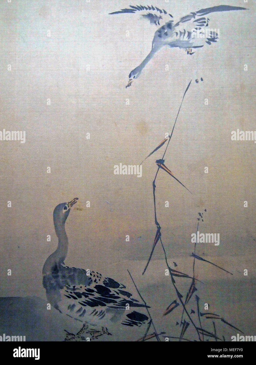 "Flying Birds and Running Beasts". Kano Tan´yu (Edo Period 1602-74 ...