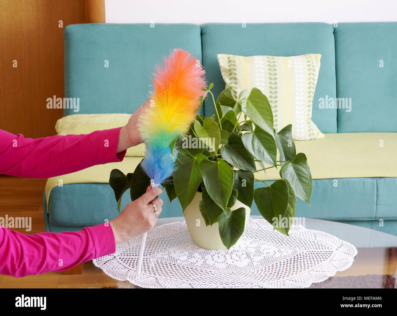 Feather duster cleaning hi-res stock photography and images - Alamy