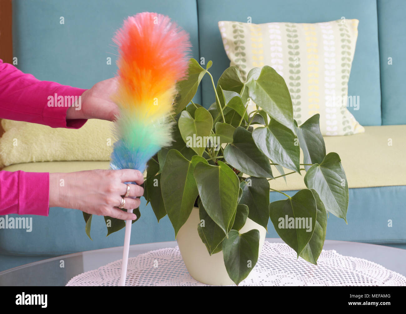 Holding feather duster hi-res stock photography and images - Alamy