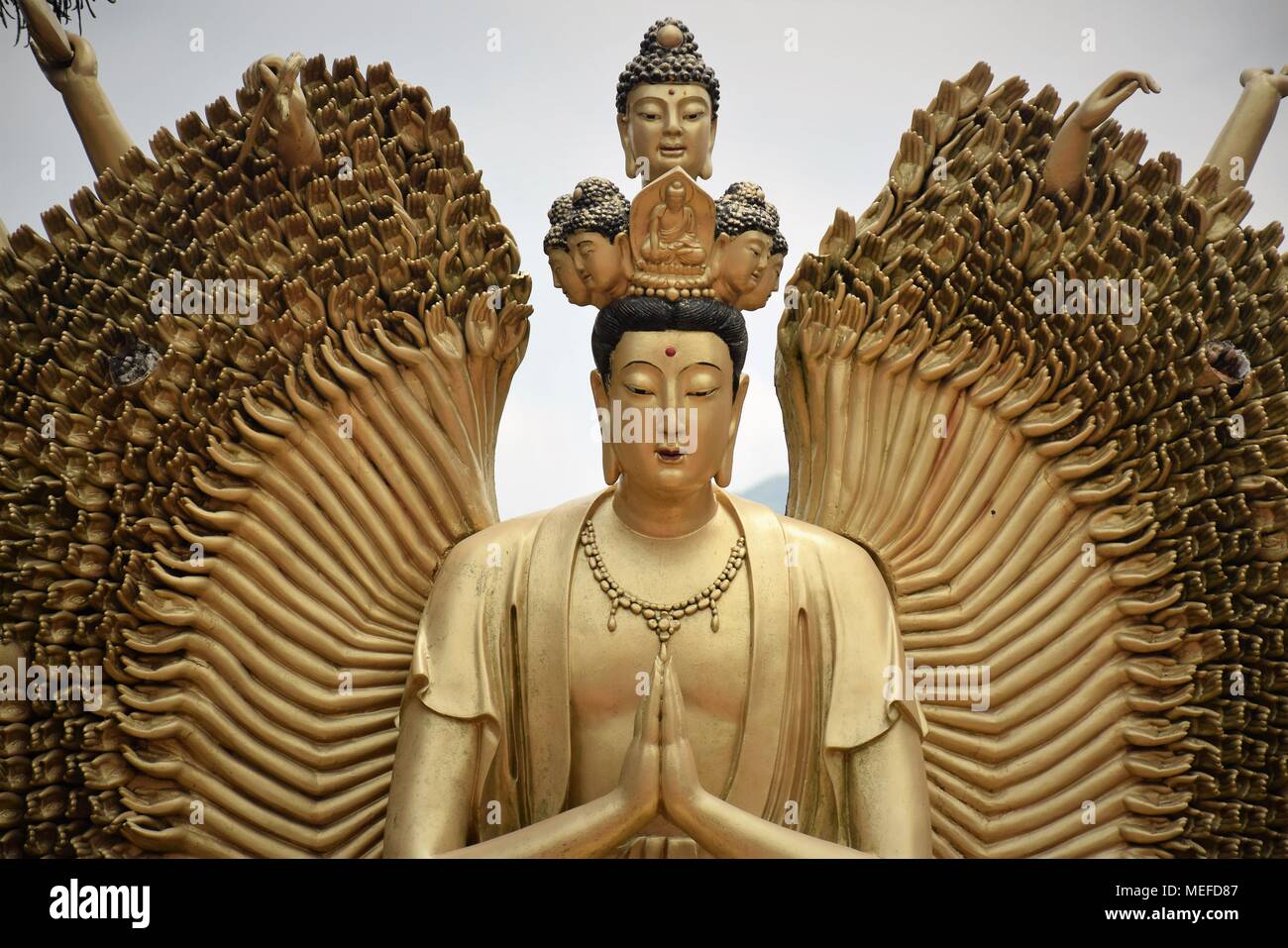 Golden statue of buddhist goddess inside the Ten thousand Buddhas ...