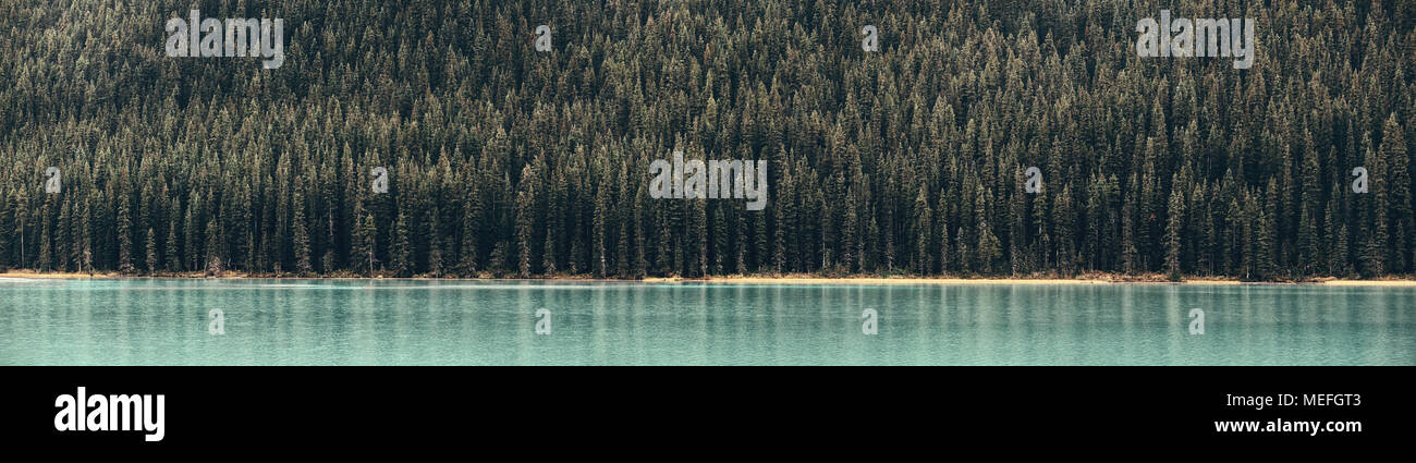Forest panorama at lake waterfront in Banff National Park, Canada Stock ...