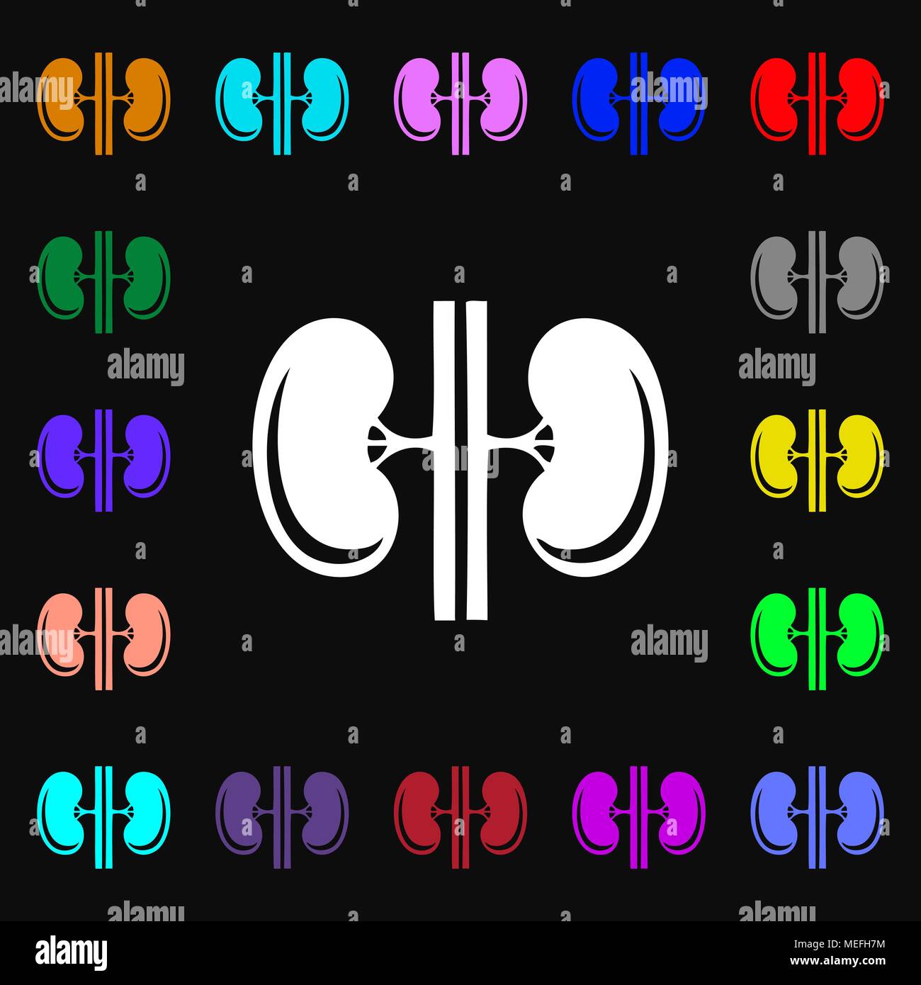 Kidneys icon sign. Lots of colorful symbols for your design. Vector ...