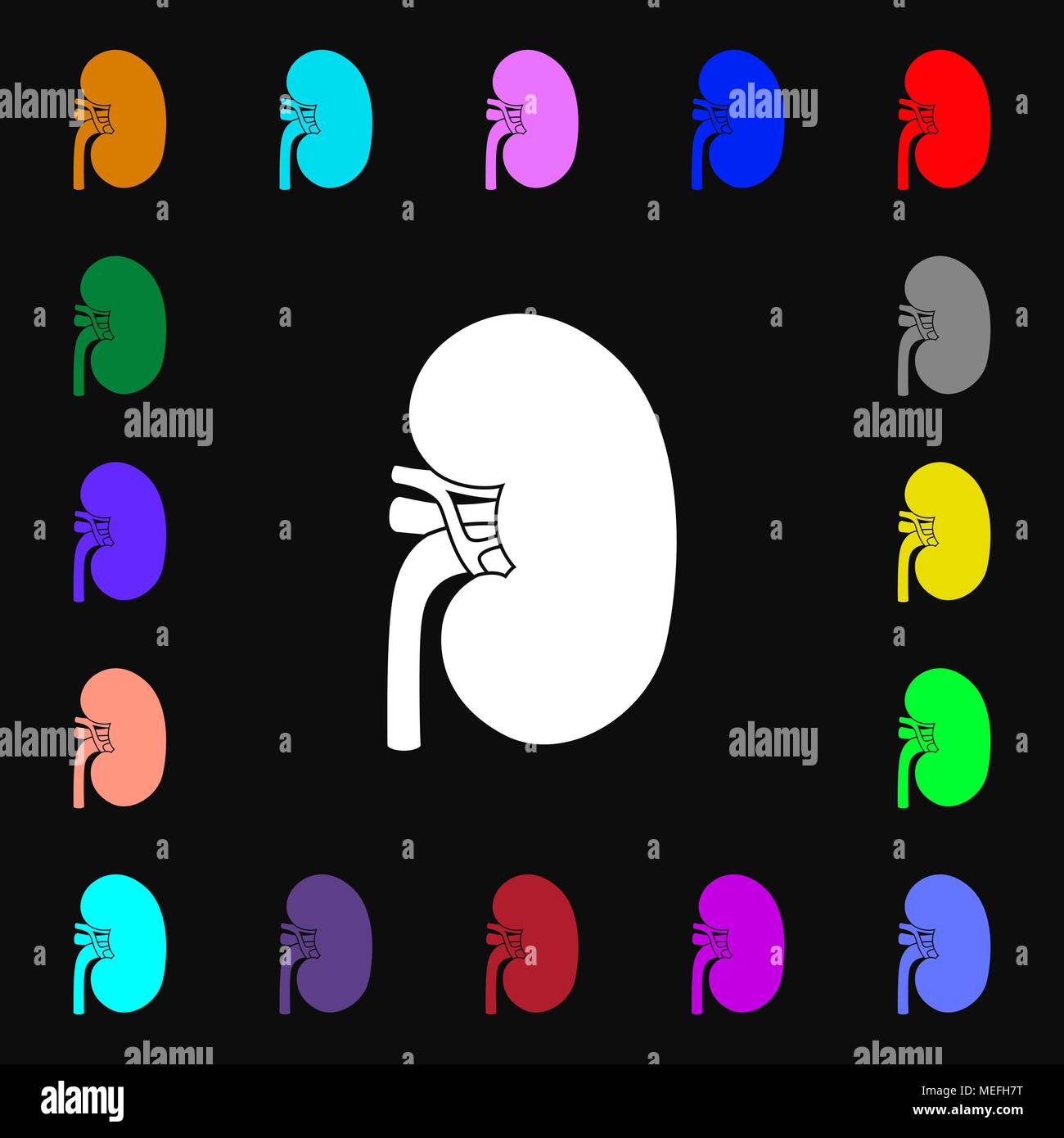 Kidney icon sign. Lots of colorful symbols for your design. Vector ...