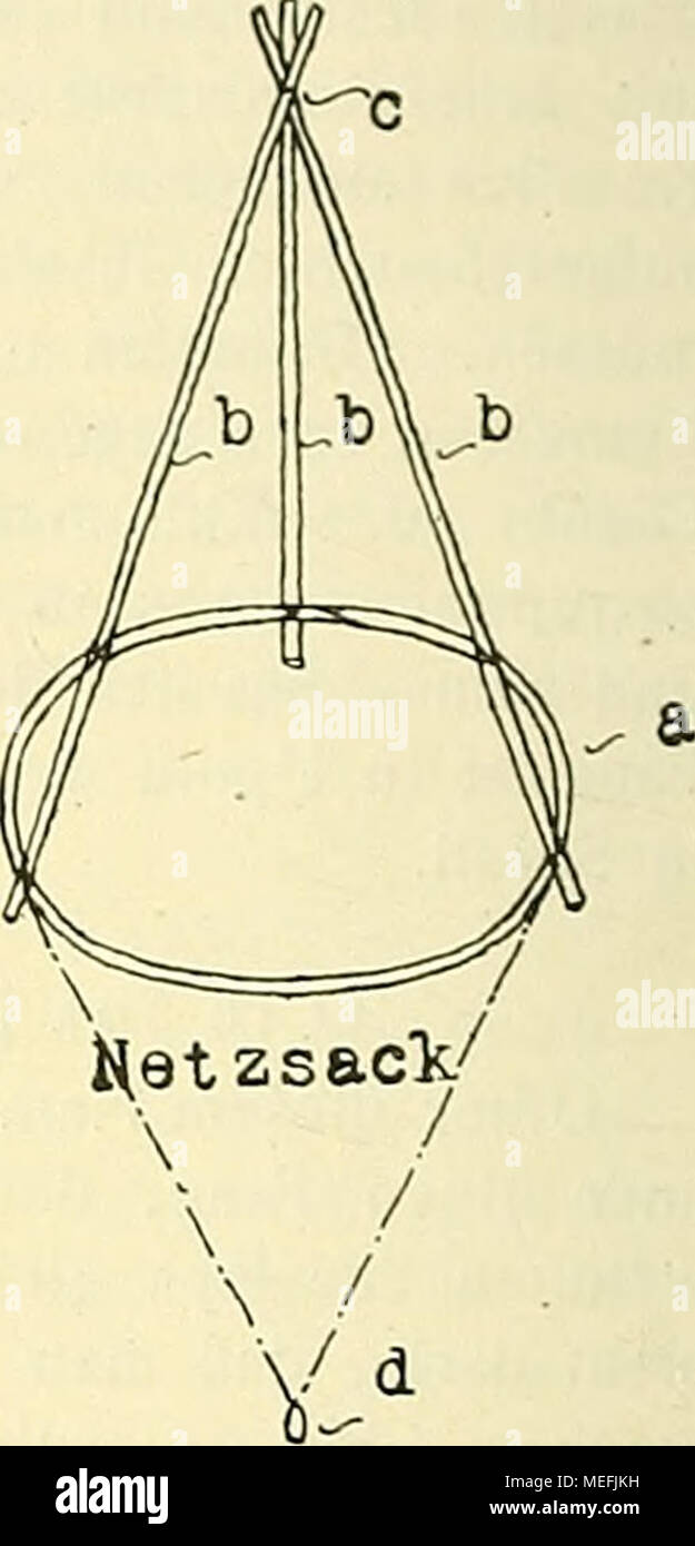 Falealili hi-res stock photography and images - Alamy