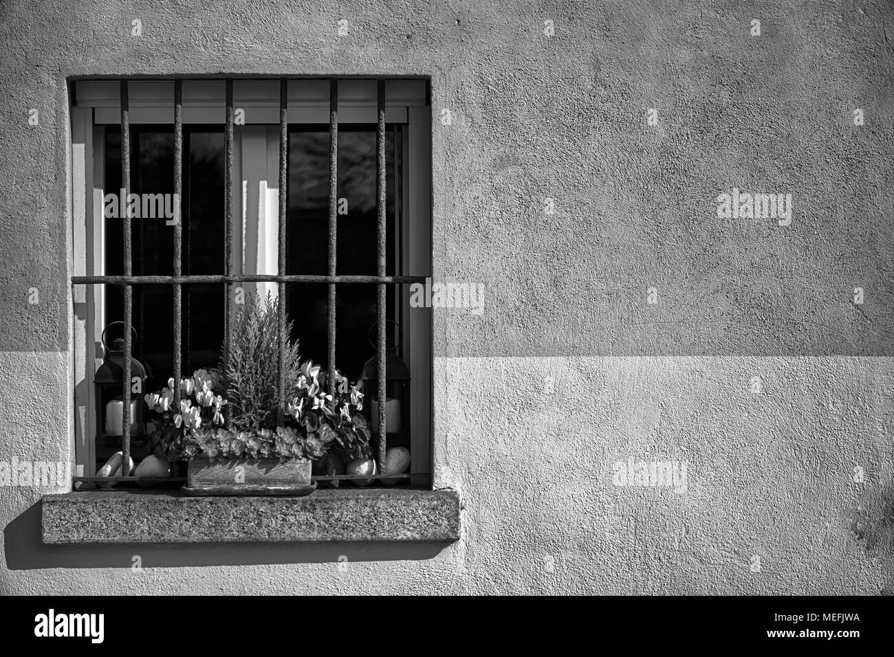 Vintage grill window and dry flower in flowerpot on window sill, sunny ...