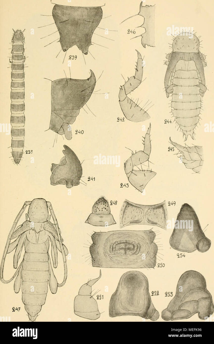 247 250 High Resolution Stock Photography and Images - Alamy