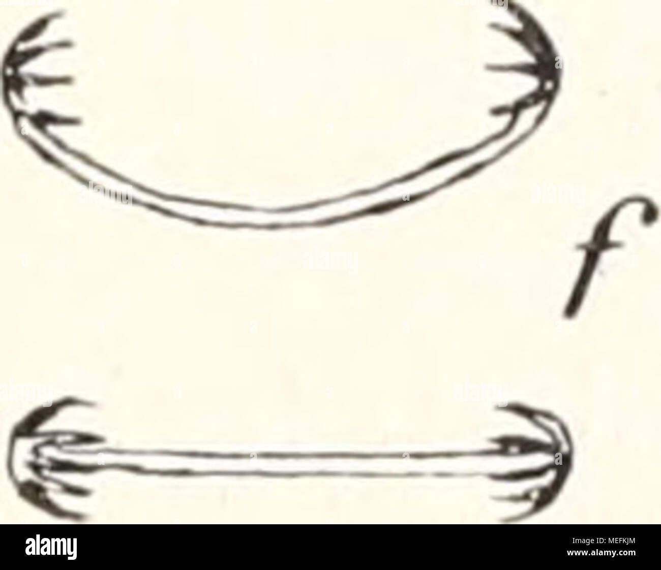 Sigmen hi-res stock photography and images - Alamy