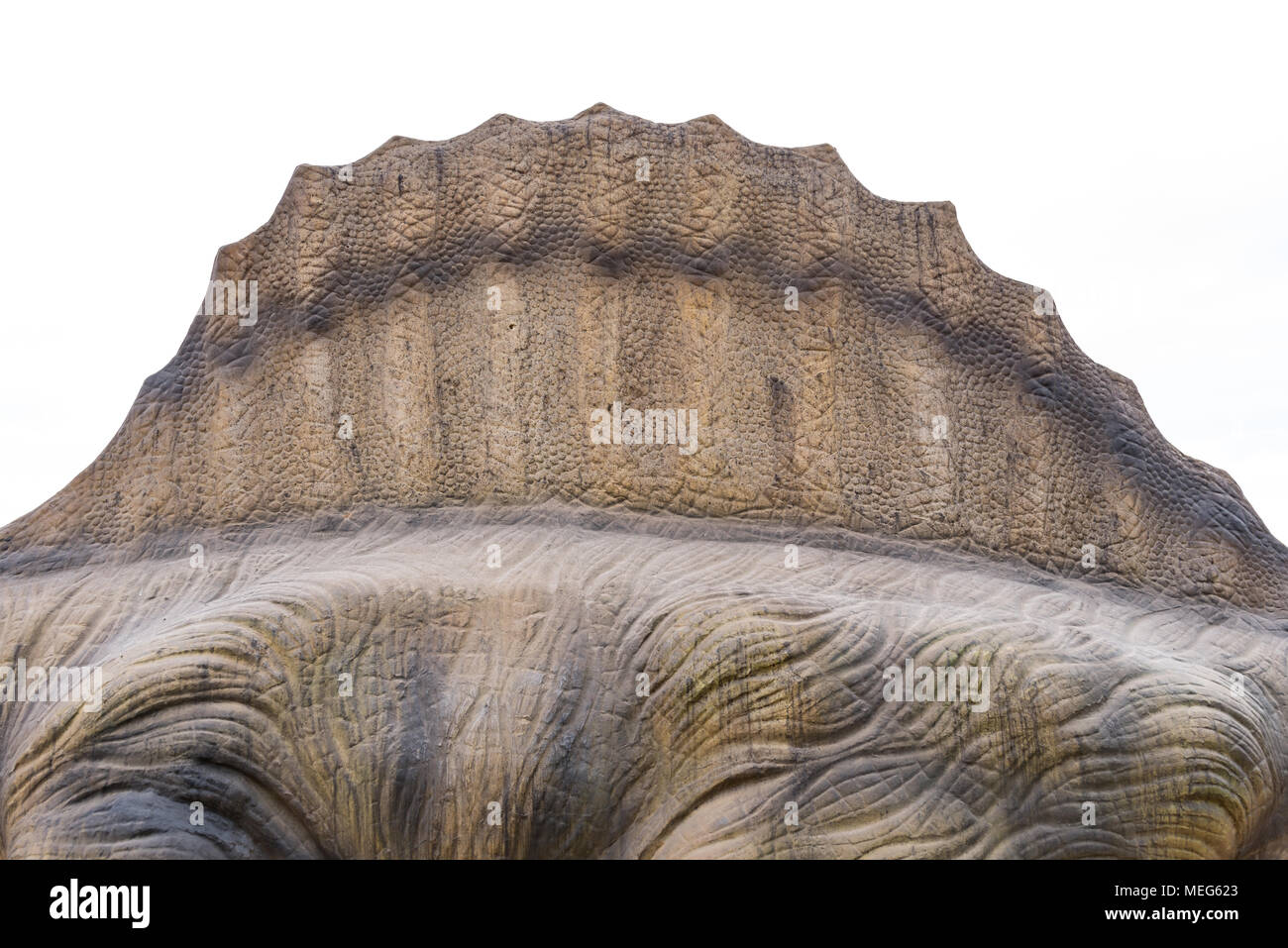 back of a Spinosaurus Stock Photo - Alamy