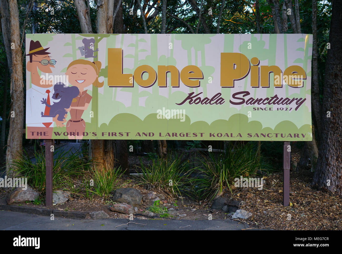 The Lone Pine Koala Sanctuary, the oldest and largest koala sanctuary ...