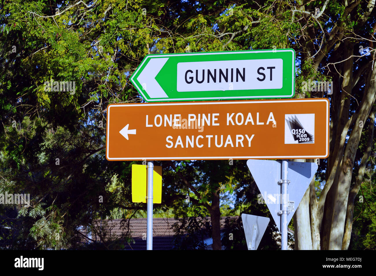 The Lone Pine Koala Sanctuary, the oldest and largest koala sanctuary ...