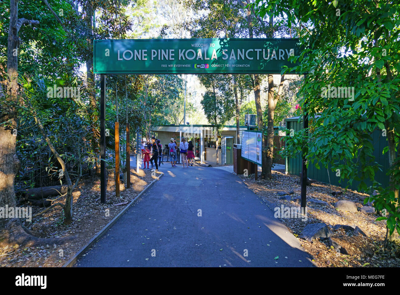 The Lone Pine Koala Sanctuary, the oldest and largest koala sanctuary ...