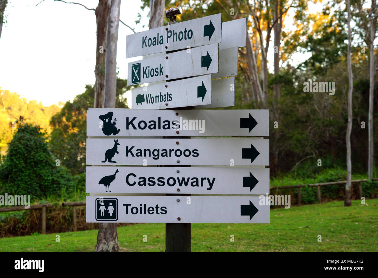 The Lone Pine Koala Sanctuary, the oldest and largest koala sanctuary ...