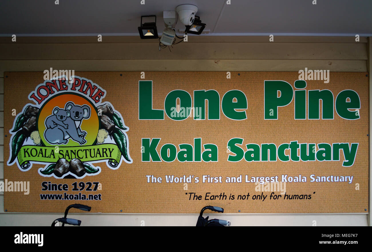 The Lone Pine Koala Sanctuary, the oldest and largest koala sanctuary ...