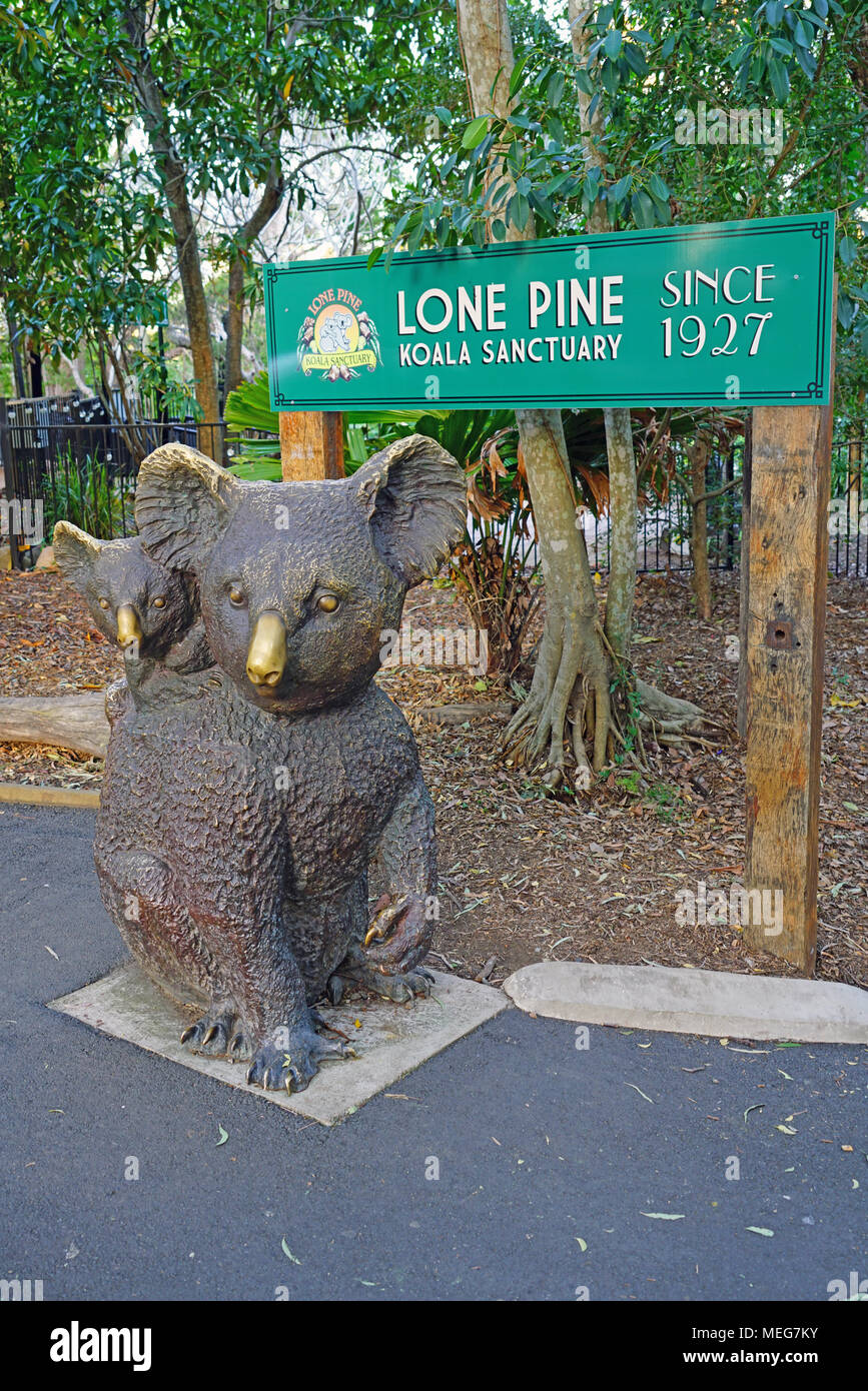 The Lone Pine Koala Sanctuary, the oldest and largest koala sanctuary ...