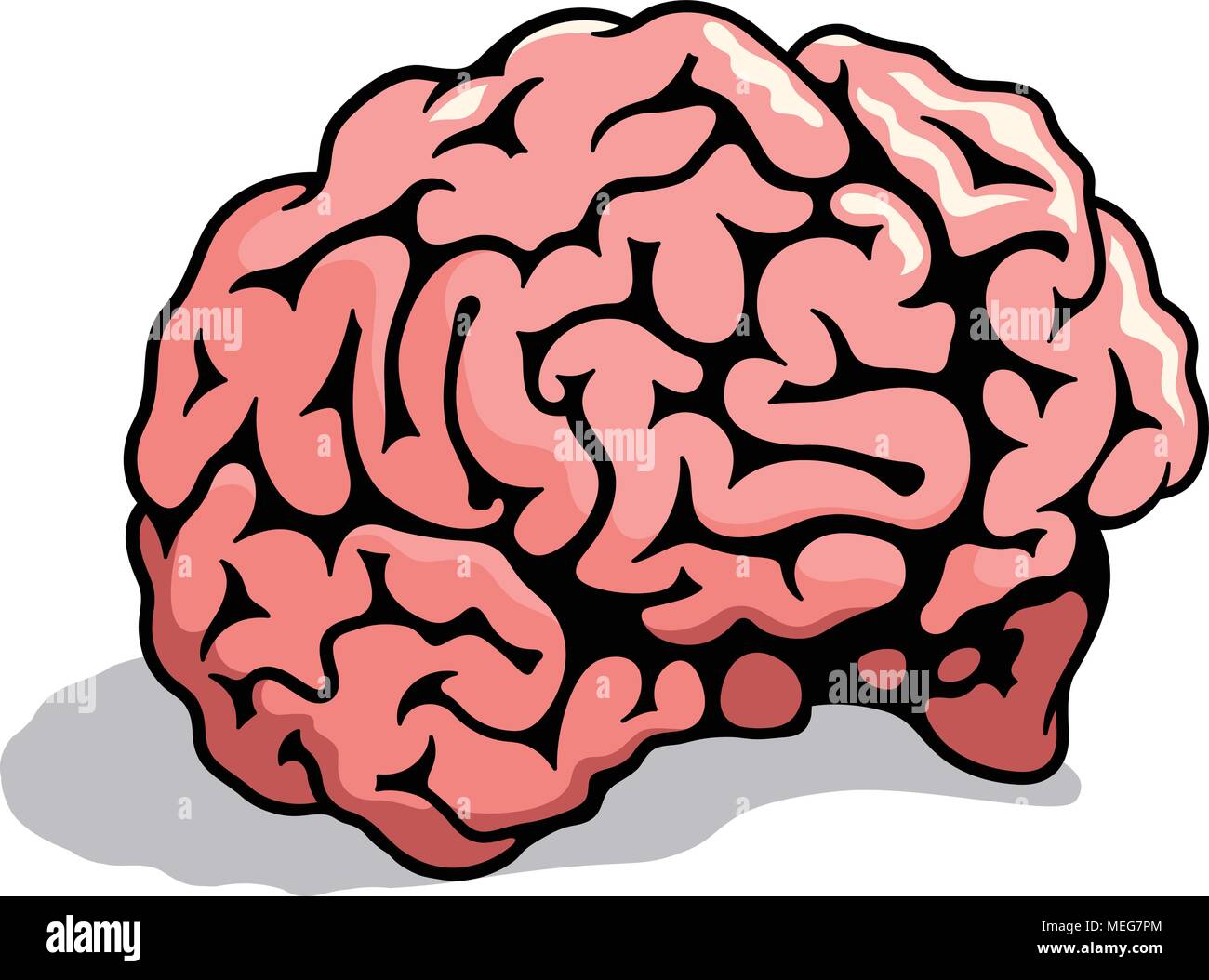 Human brain. Vector illustration Stock Vector Image & Art - Alamy