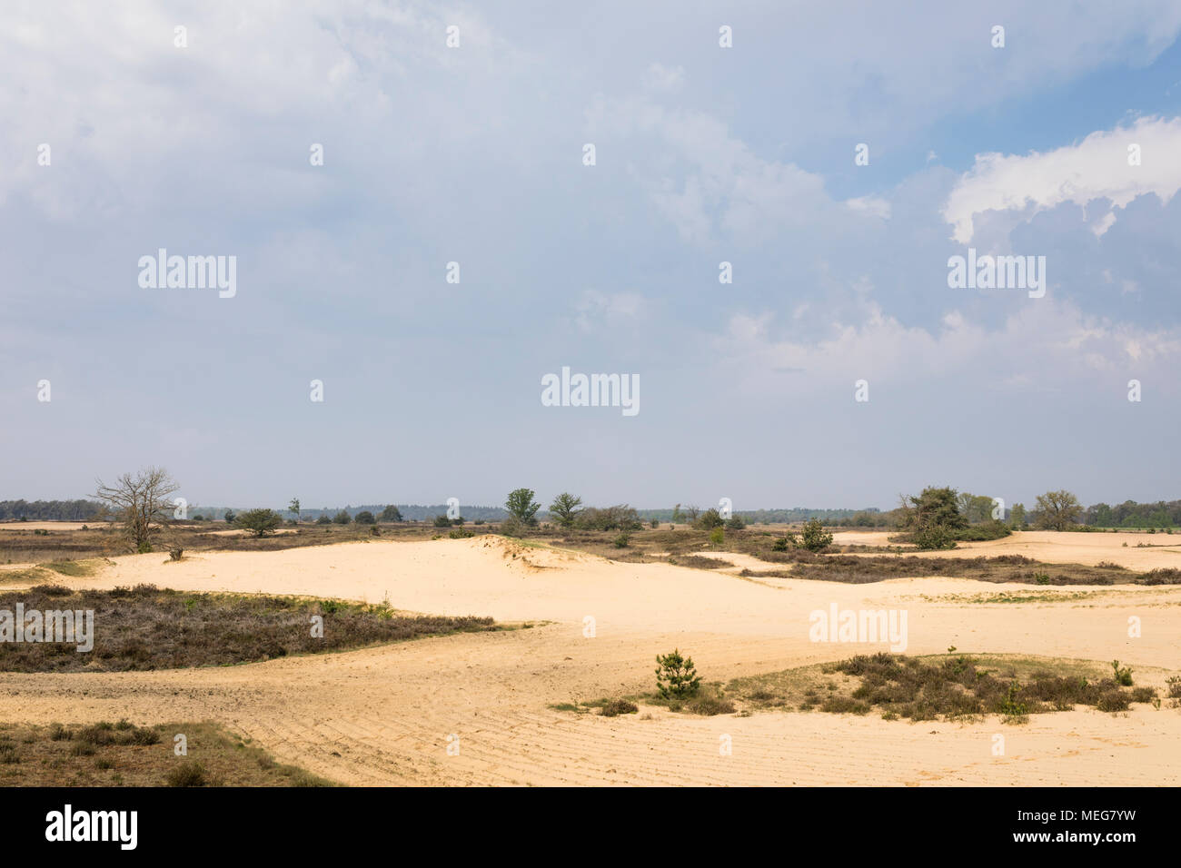 Heather sand hi-res stock photography and images - Alamy