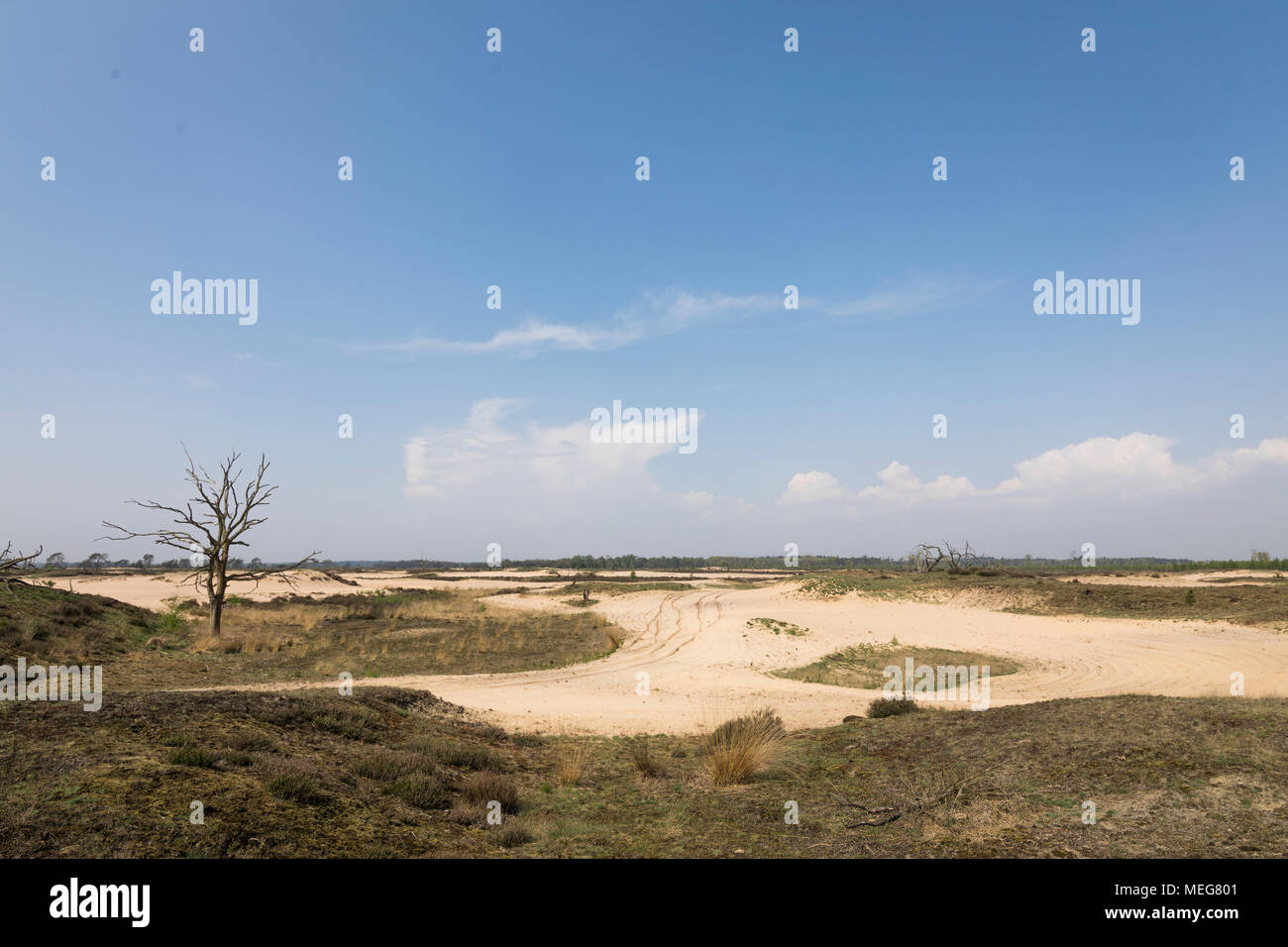 Landscape with shifting sand in the Netherlands at "Strabrechtse Heide ...