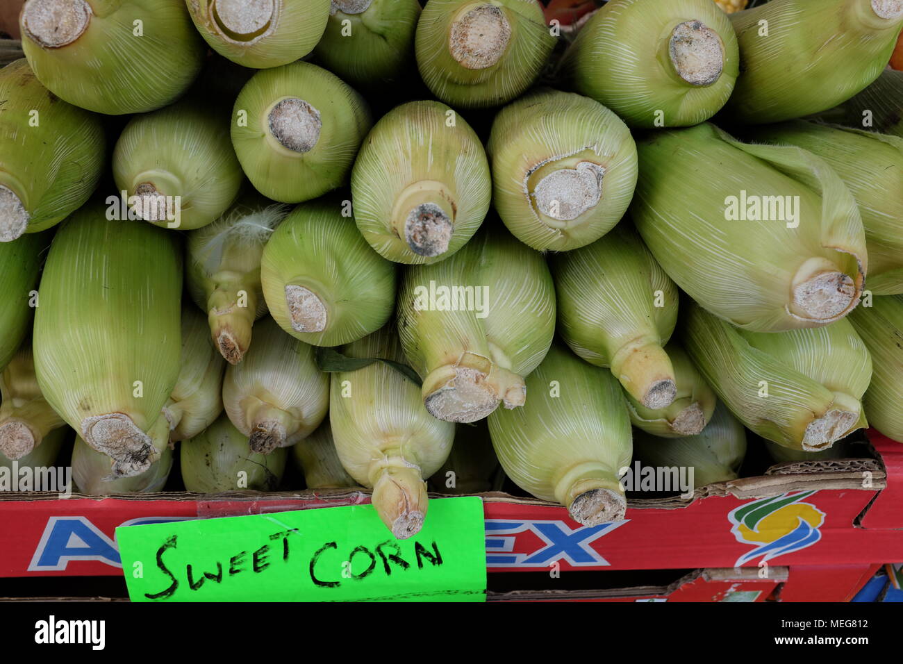 Corn on the cob stall hi-res stock photography and images - Alamy