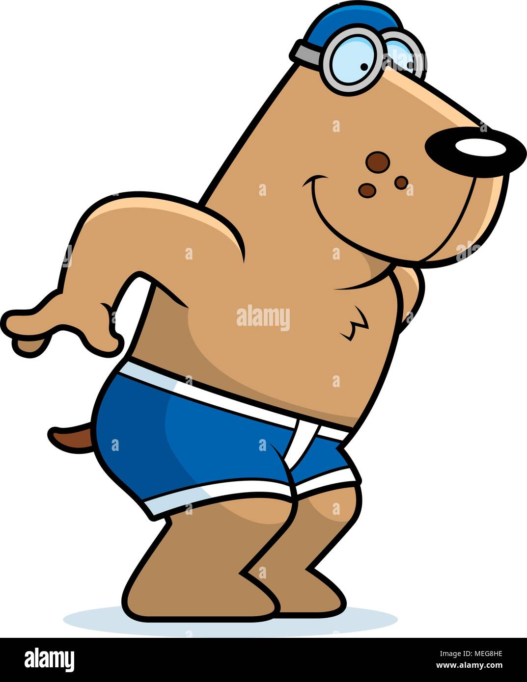 A cartoon illustration of a dog preparing to dive and swim Stock Vector ...