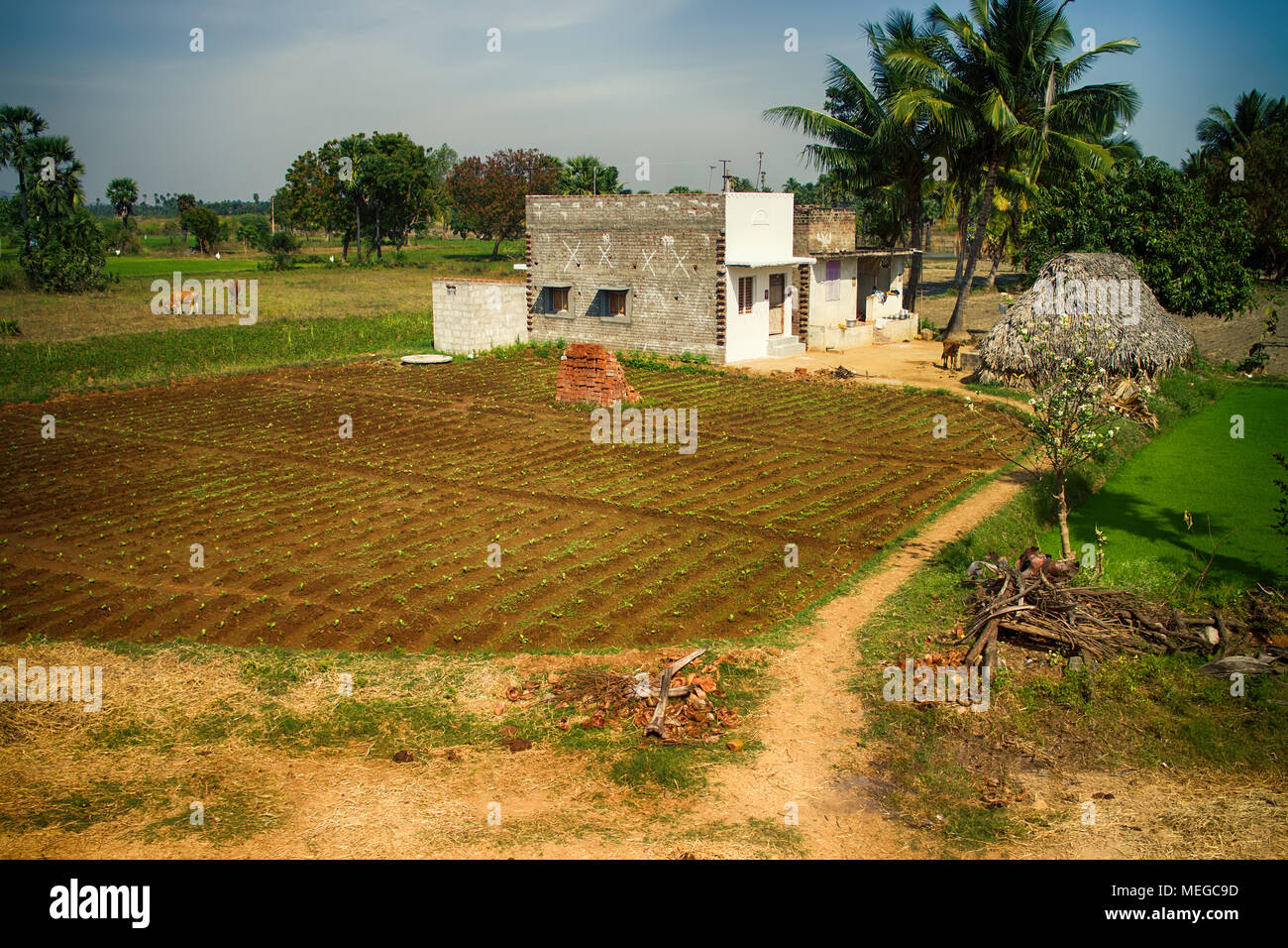 Indian rural peasants hi-res stock photography and images - Alamy