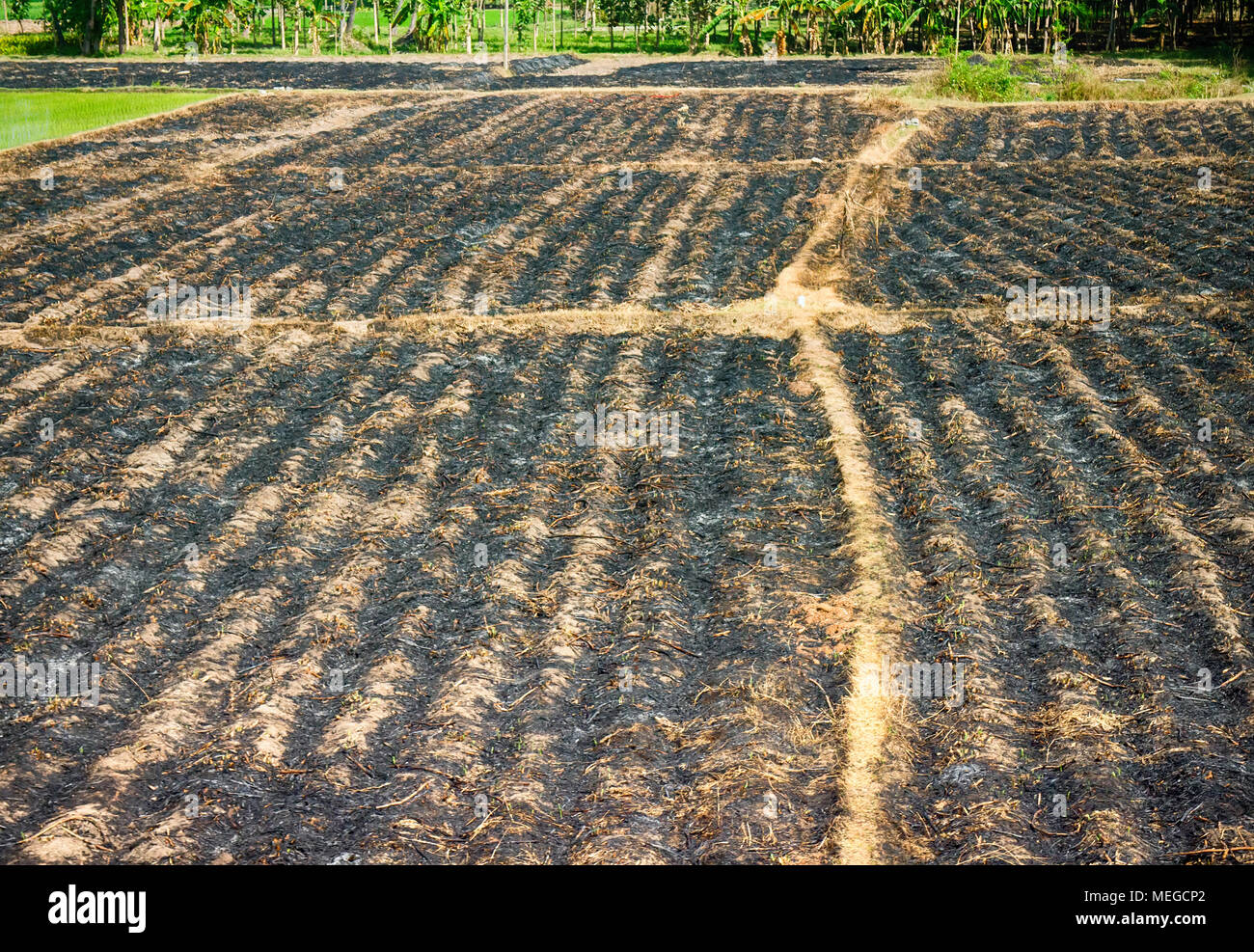 Oligotrophy hi-res stock photography and images - Alamy