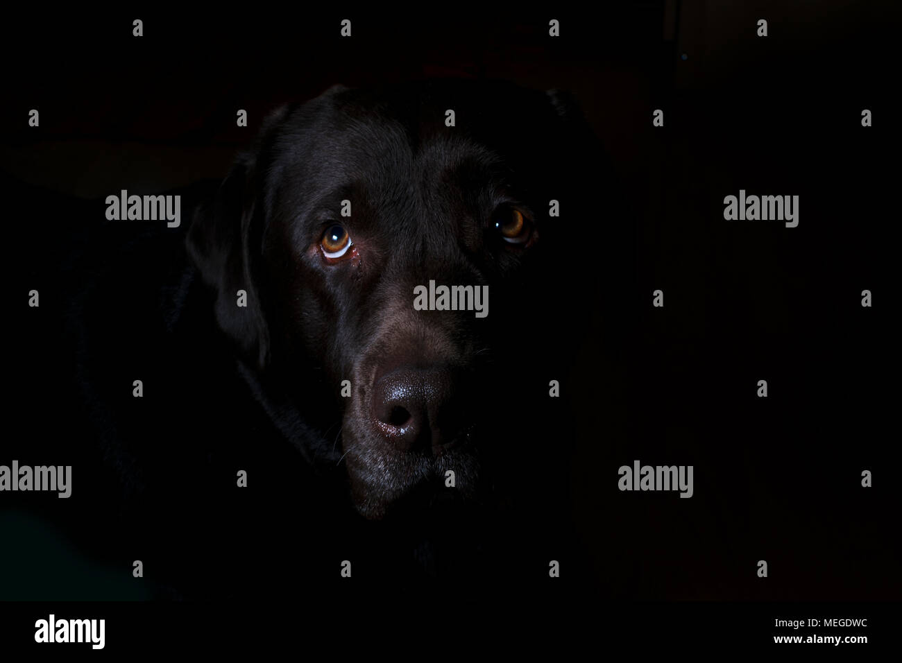 Low key photography hi-res stock photography and images - Alamy