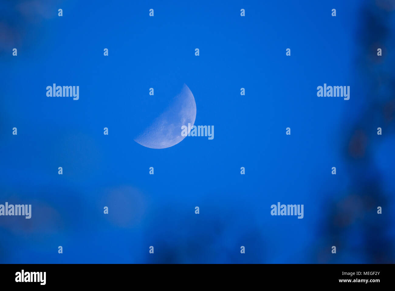 Growing moon hi-res stock photography and images - Alamy