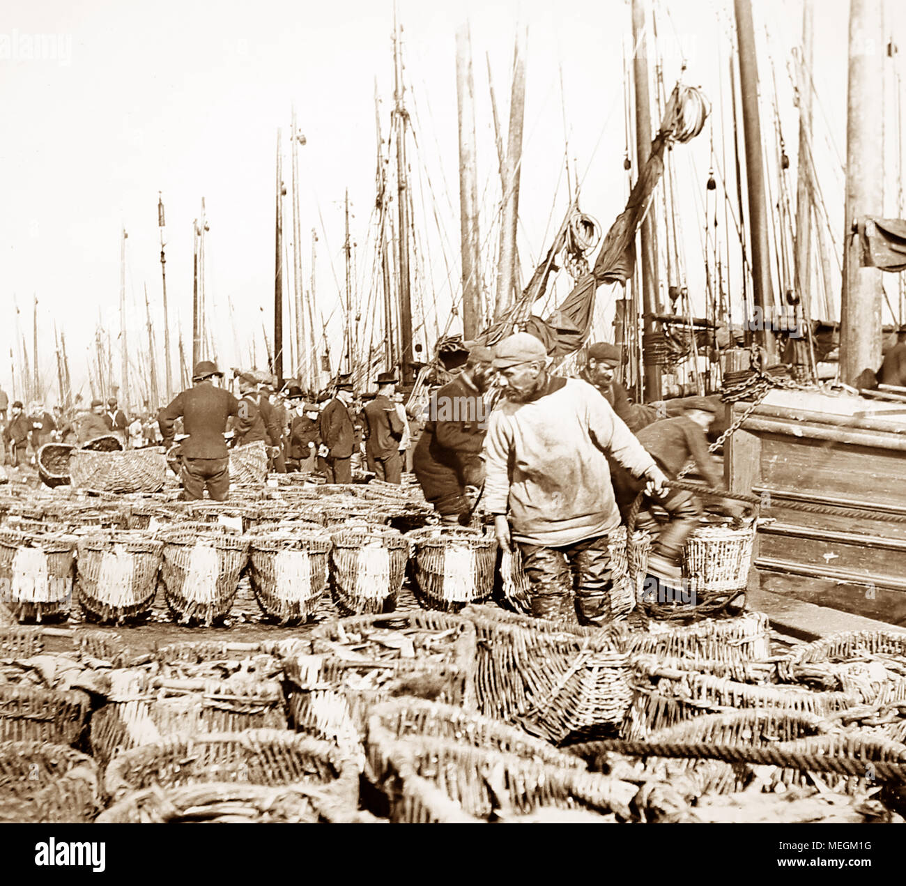 Herring fishing, Great Yarmouth, early 1900s Stock Photo - Alamy