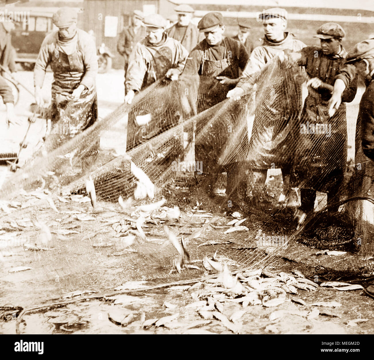 Herring fishing hi-res stock photography and images - Alamy