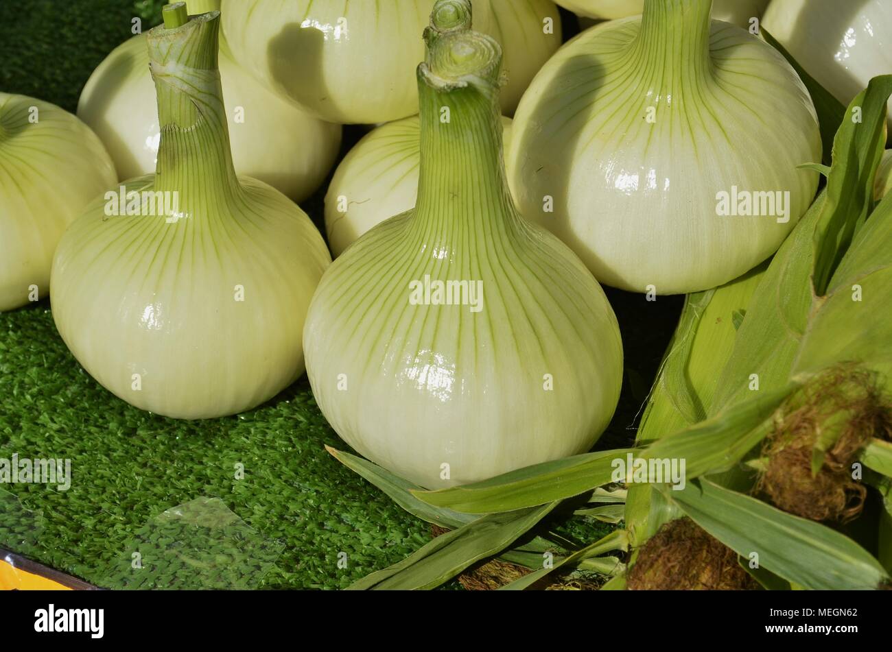 Candy onions hi-res stock photography and images - Alamy