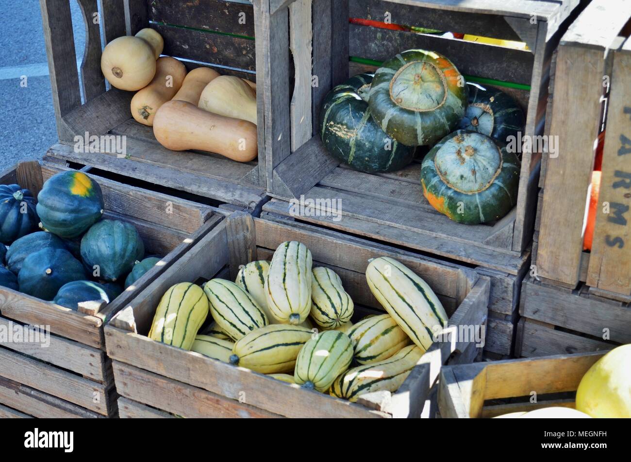 White washed gourds hi-res stock photography and images - Alamy