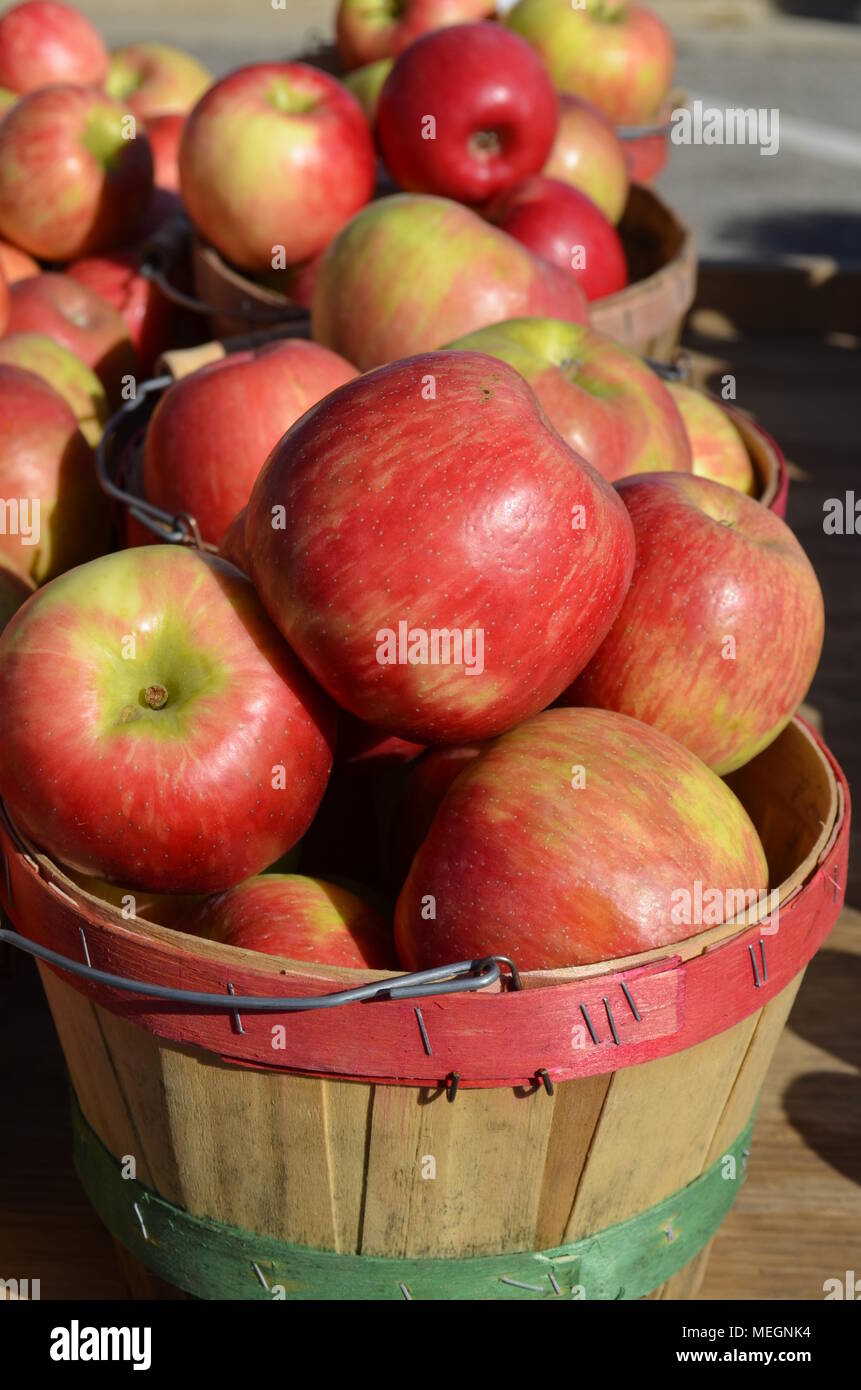 Displayed on display hi-res stock photography and images - Alamy