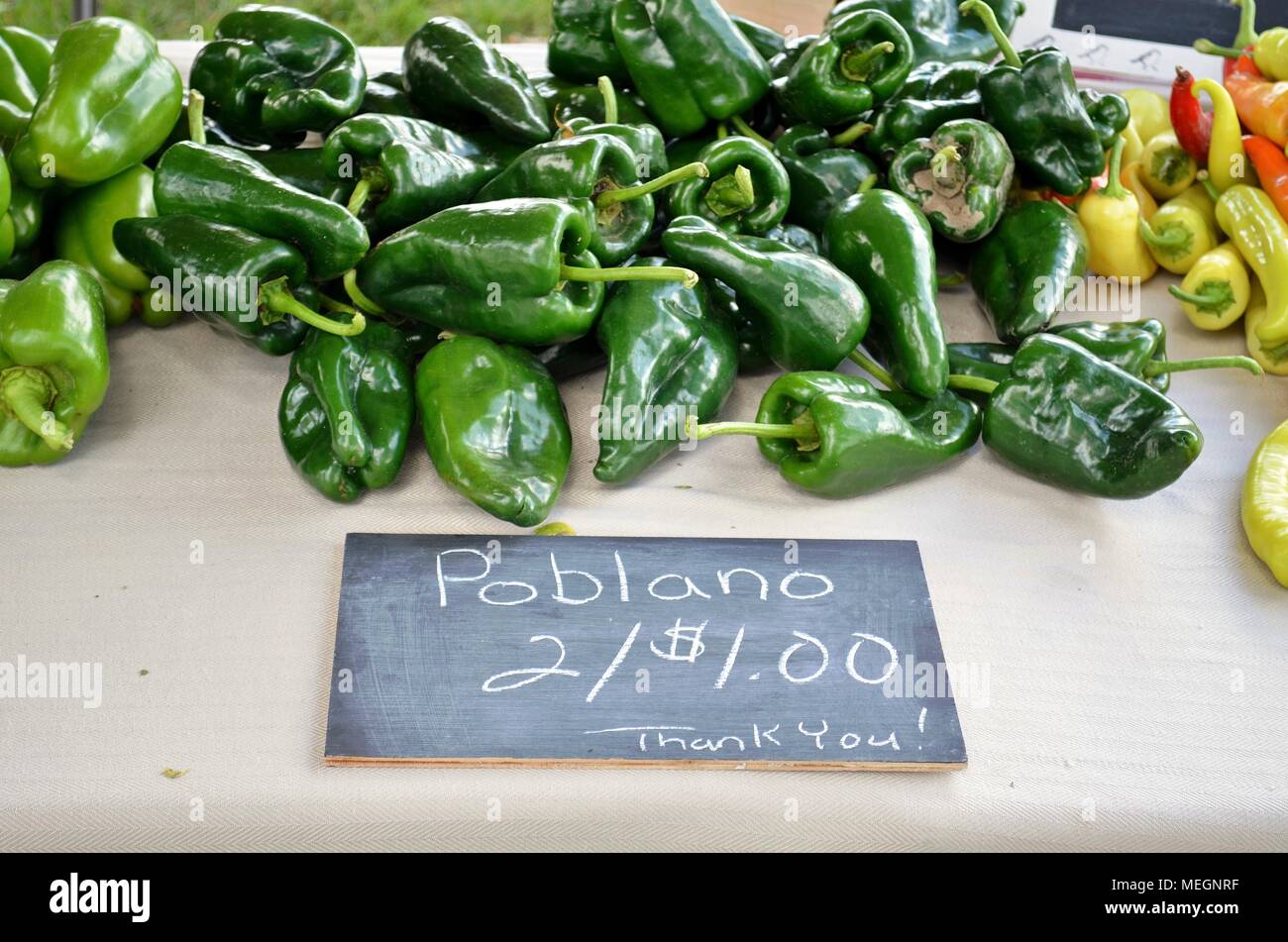 A variety of peppers on display and for sale at a local outdoor Farmers ...