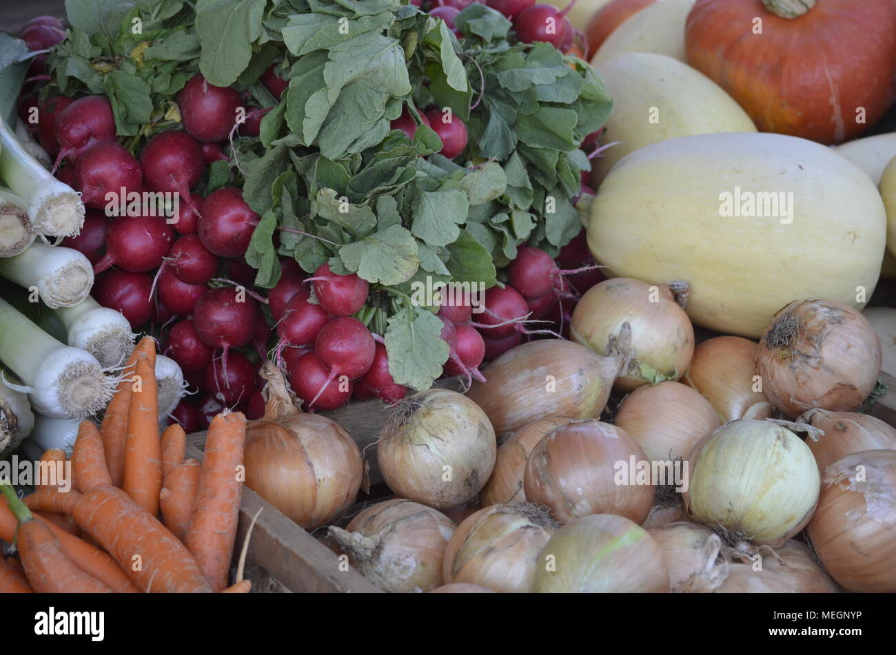 White washed gourds hi-res stock photography and images - Alamy